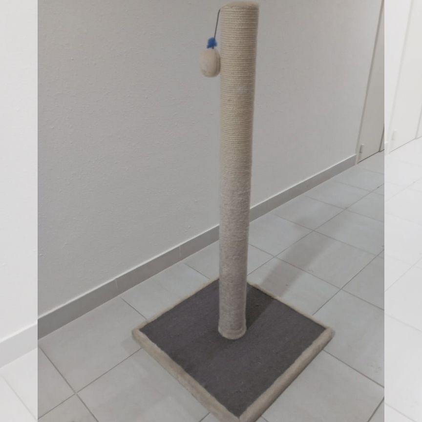 Когтеточка