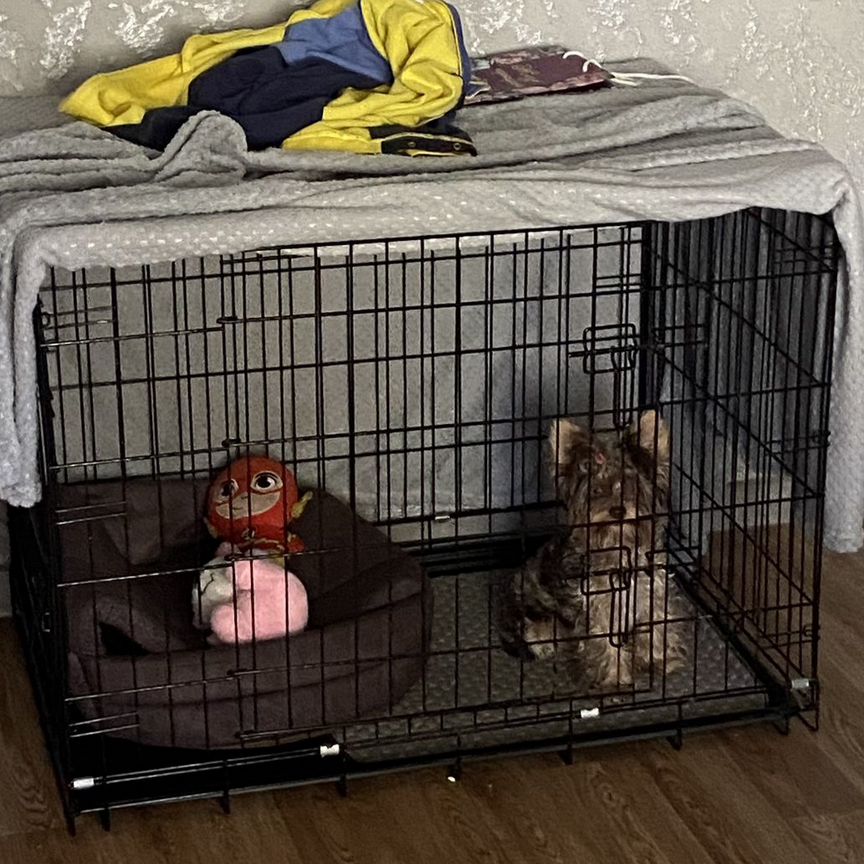 Клетка вольер для собак