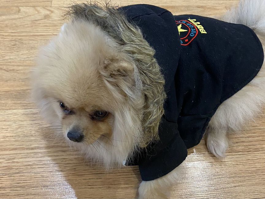 Пальтишко утепленное для животных