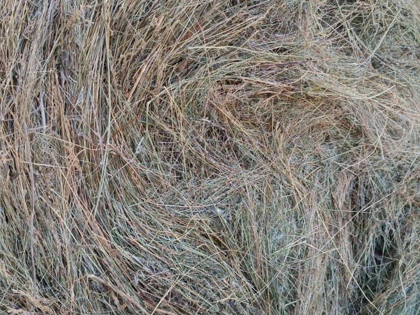 Сено в рулонах оптом от 40 штук