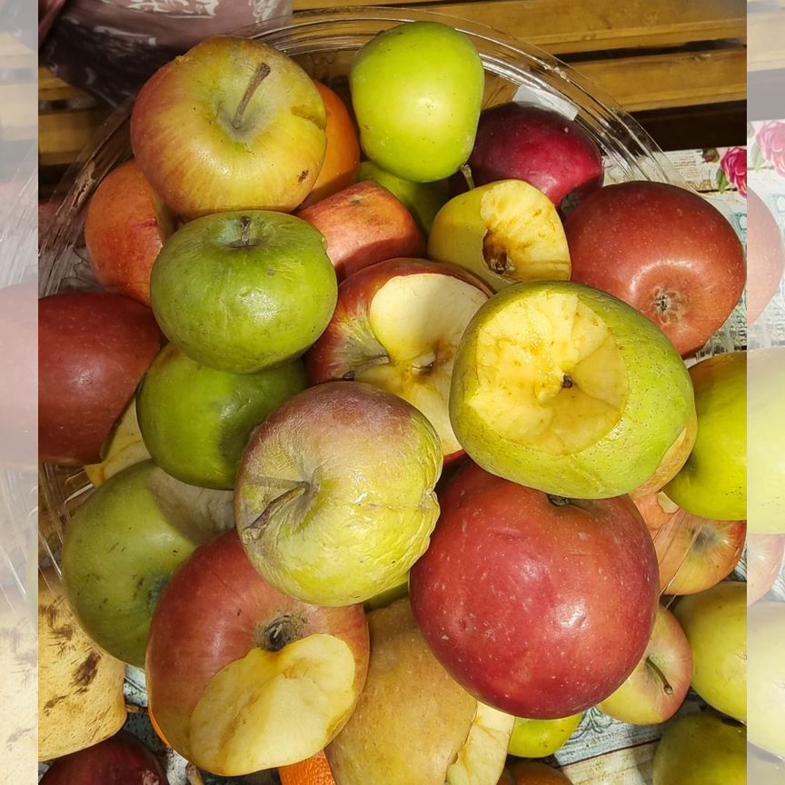 Овощи и фрукты животным