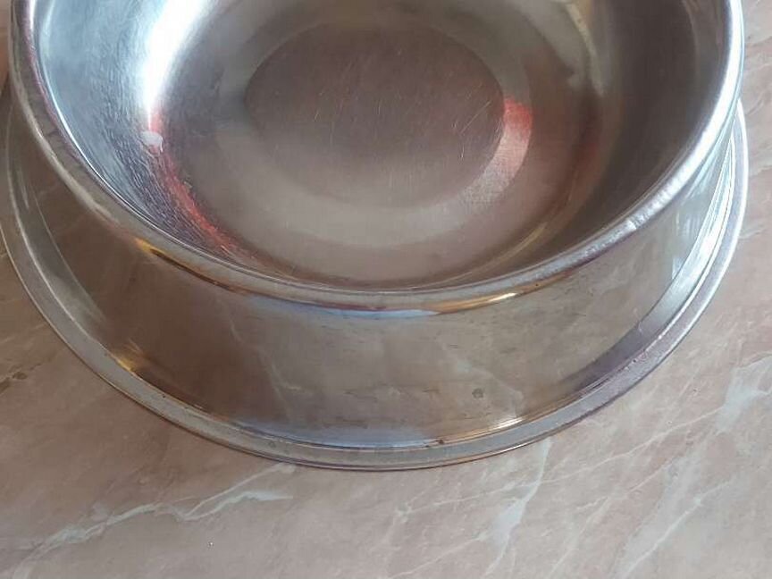 Миски для собак