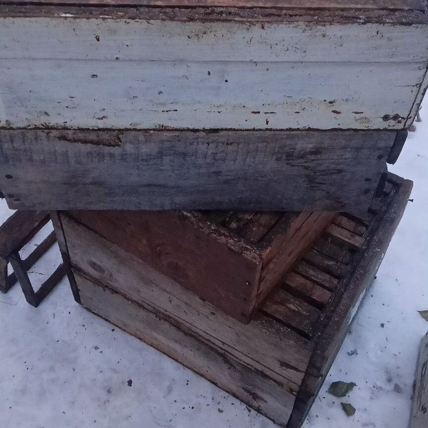 Рамки для ульев бу
