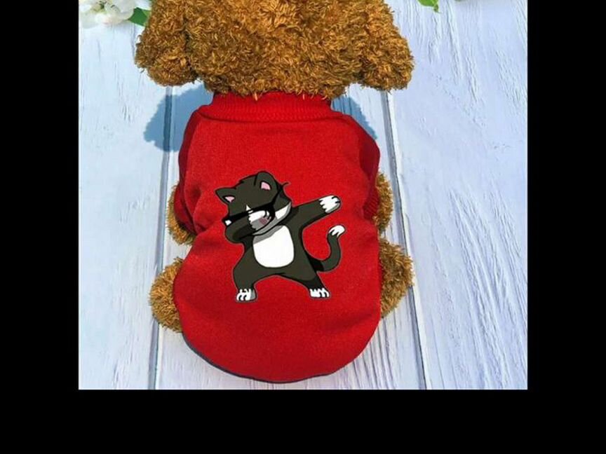 Одежда для собак и кошек, шлейки, игрушки