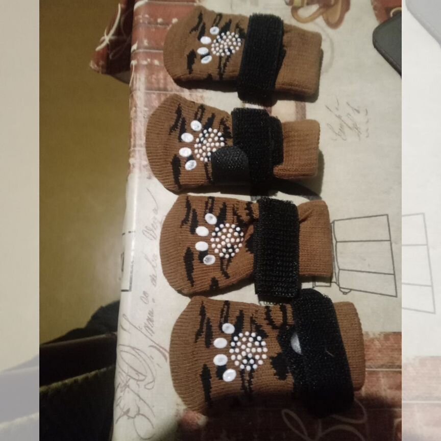 Носки для маленькой собачки