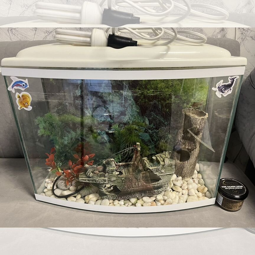 Аквариум 25 литров с наполнением
