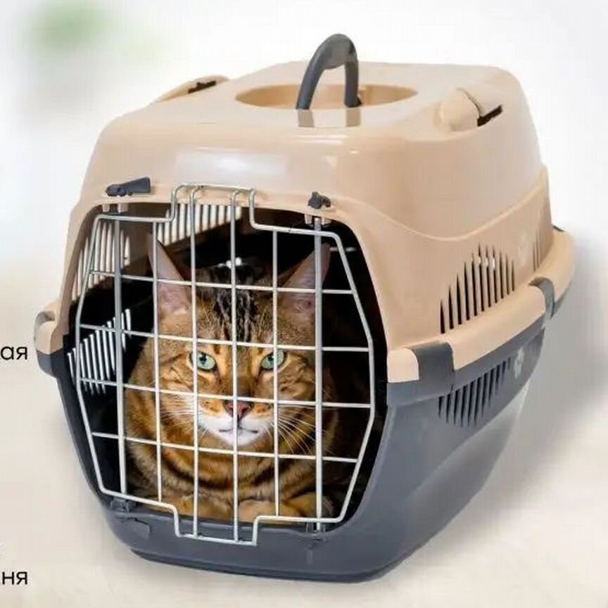 Переноска для кошек пластиковая