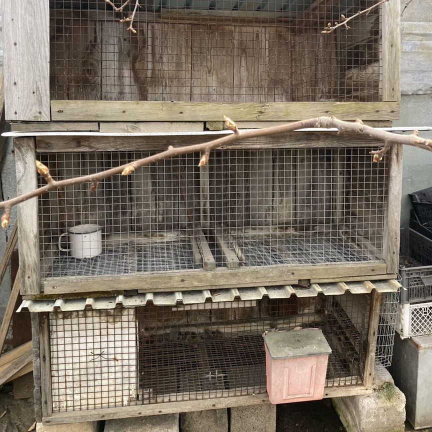 Клетки для кроликов б/у