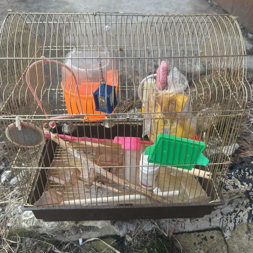 Клетка для попугая