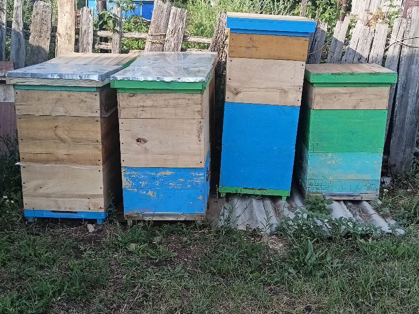 Улей для пчел