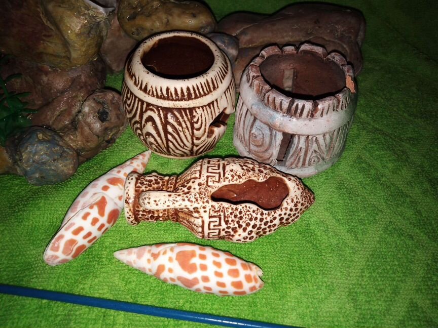 Грот, амфора ракушки