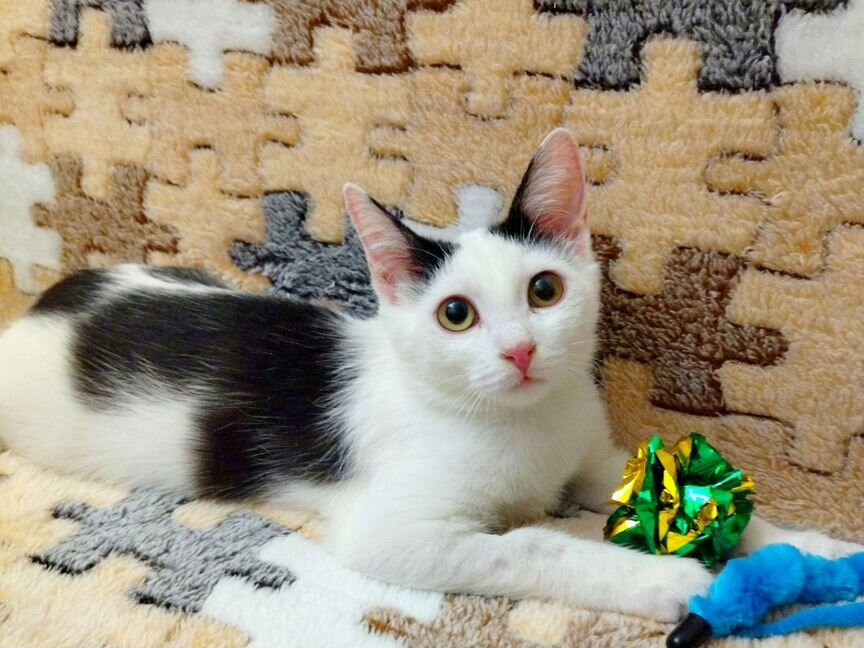 Девочке очень нужен дом