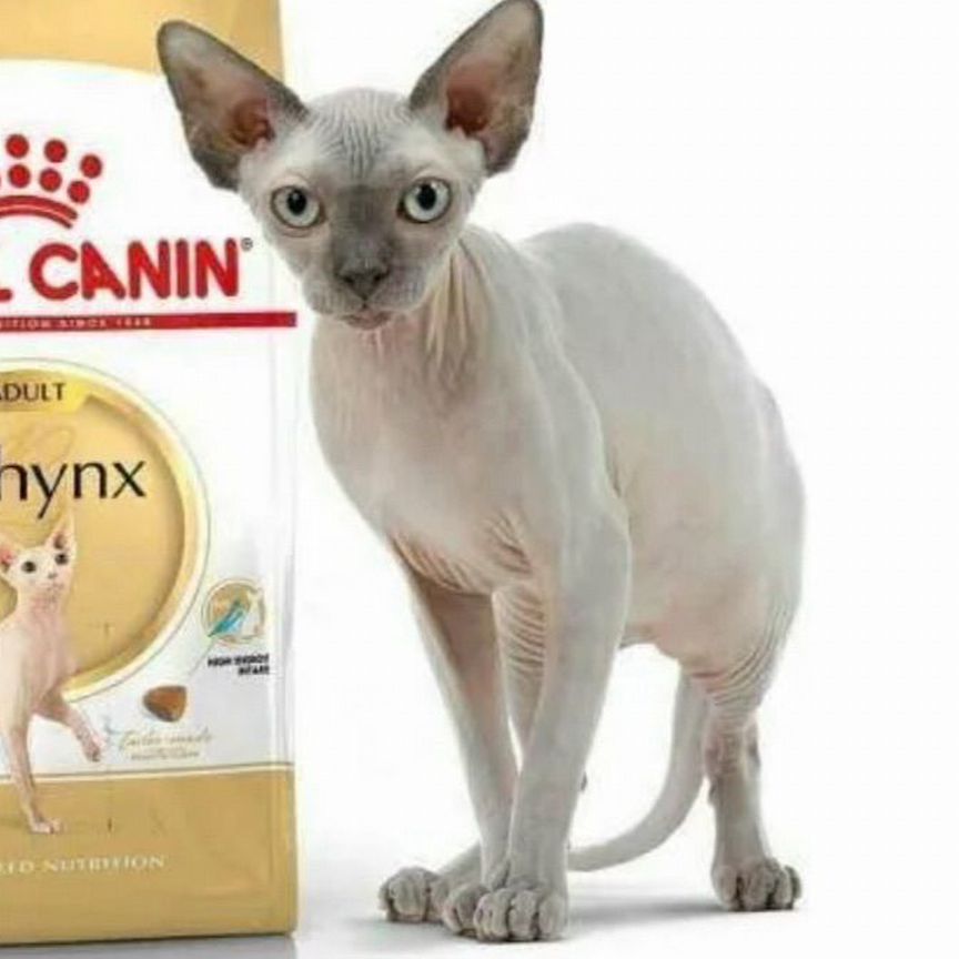 Корм для кошек royal canin
