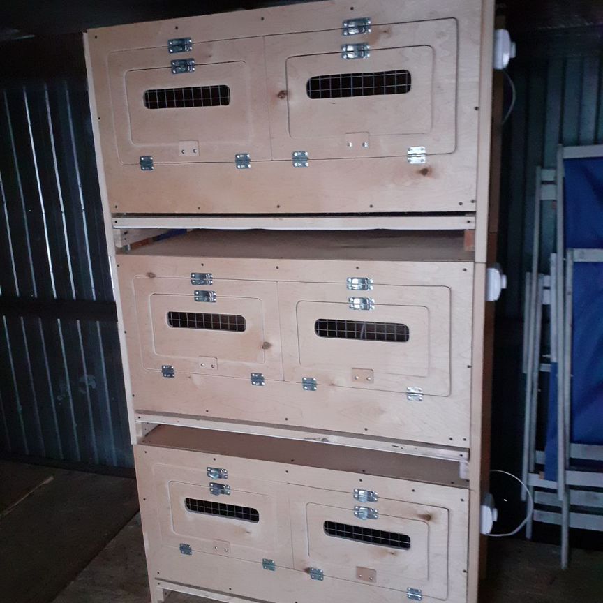 Брудер для цыплят