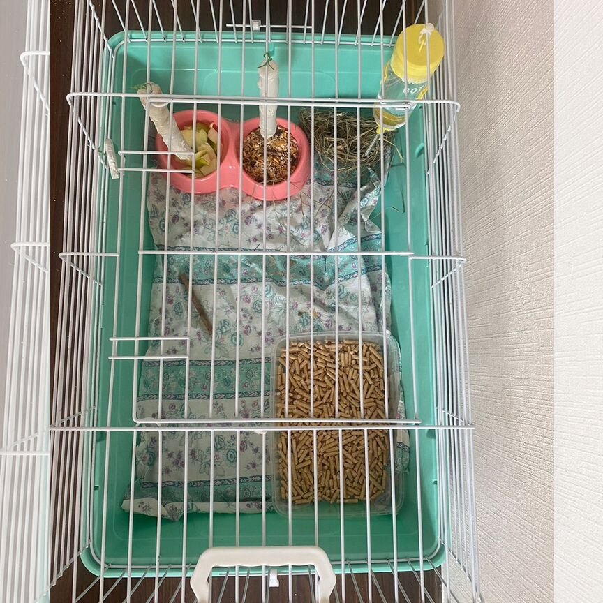 Клетка для грызунов