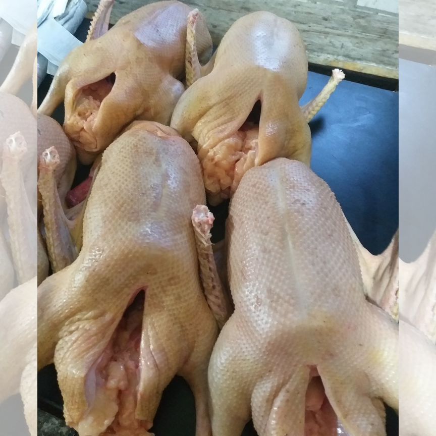 Гусь живком и мясом