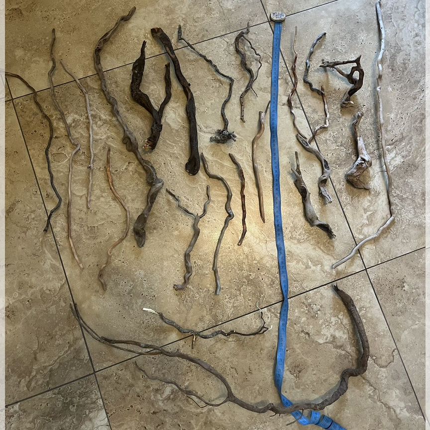 Коряжки, корни, веточки из лозы,ветки яблони