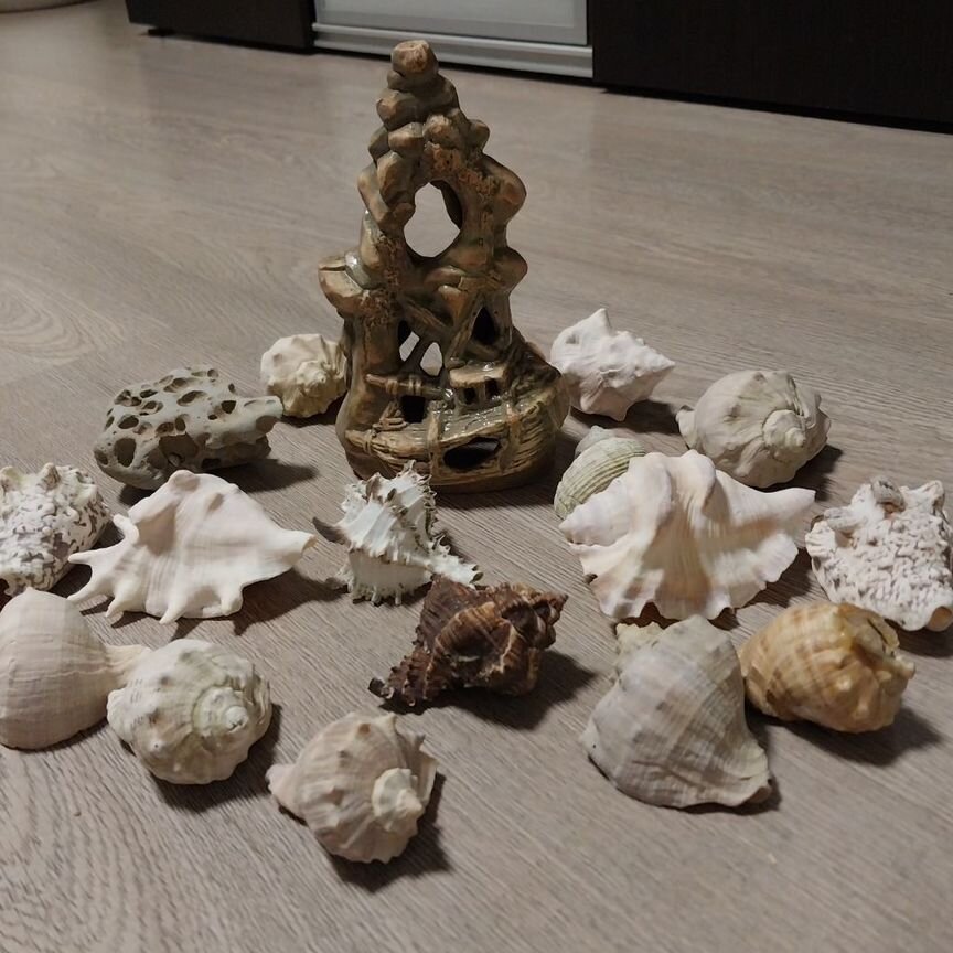 Ракушки,декор аквариумный