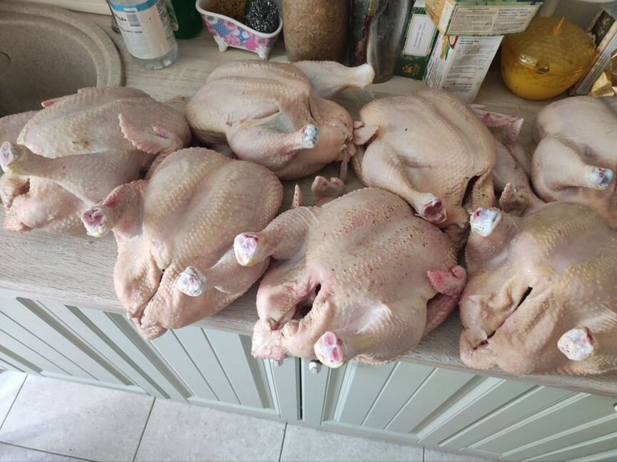 Всё для дома и дачи