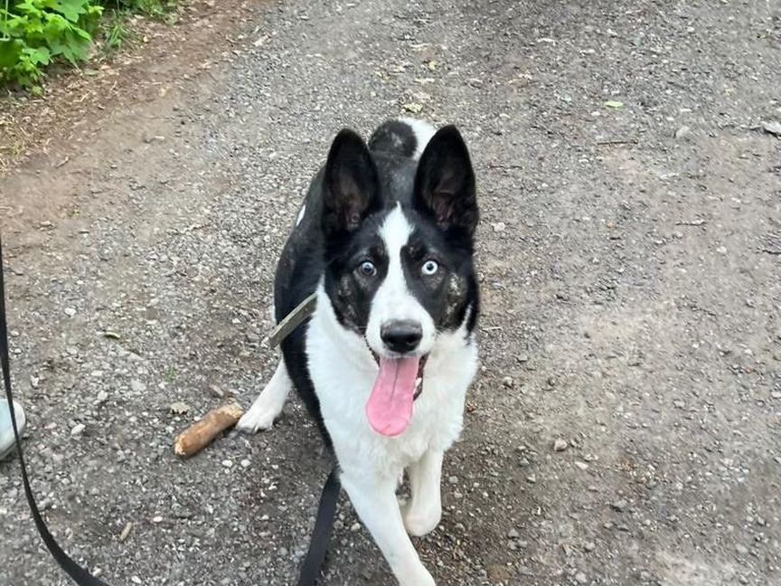 Бесплатно девочка Альма