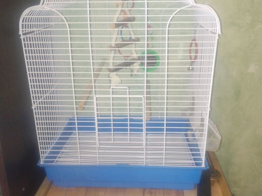 Клетка для попугая бу