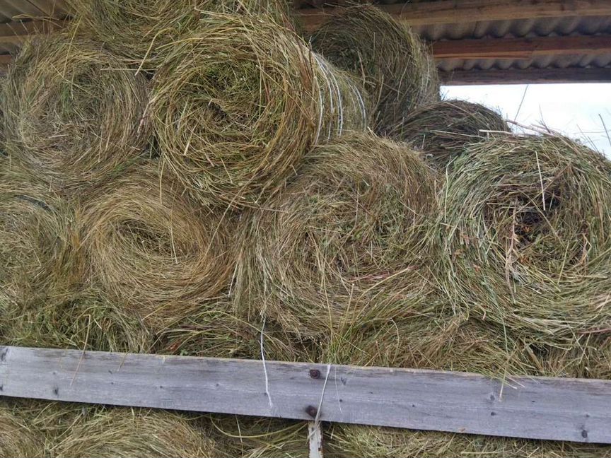 Сено луговое в рулонах