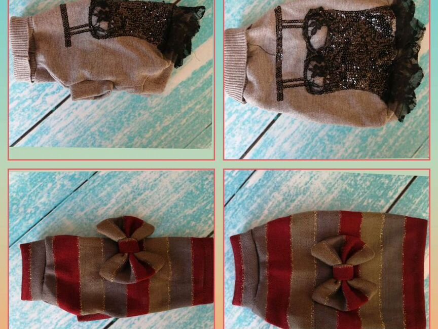 Одежда для собаки