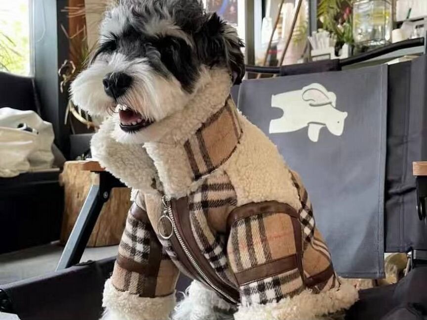 Куртка для собак