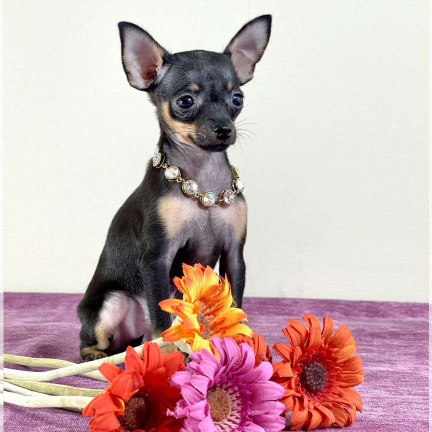 Супер мини куколка