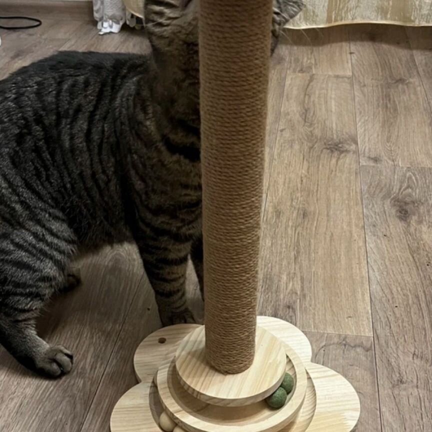 Когтеточка для кошек