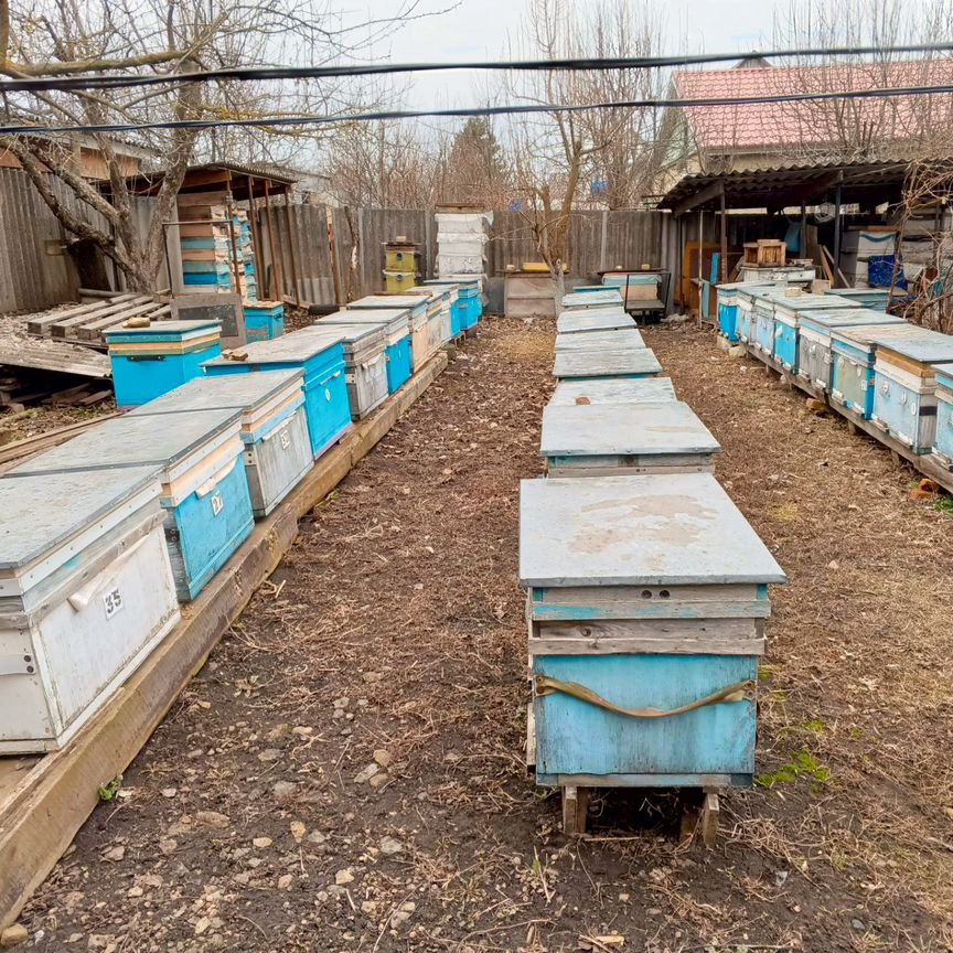 Продам ульи для пчел