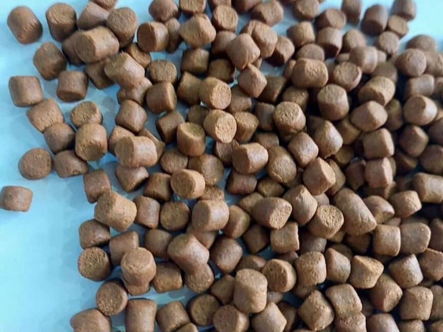 Корм для прудовых рыб