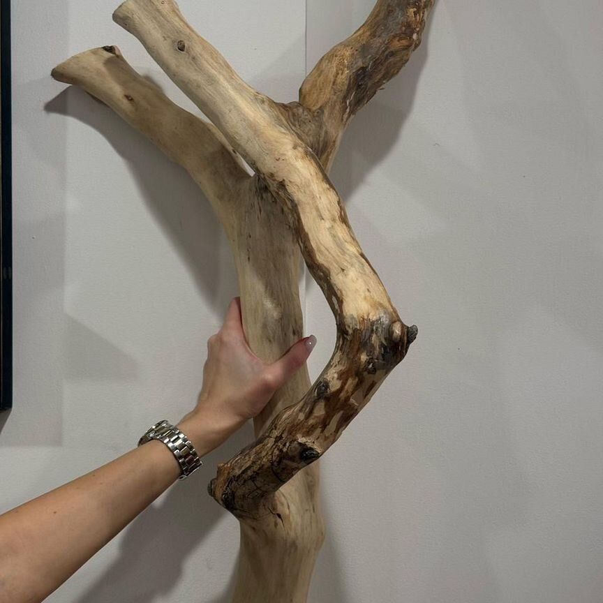 Коряги для аквариума, коряга