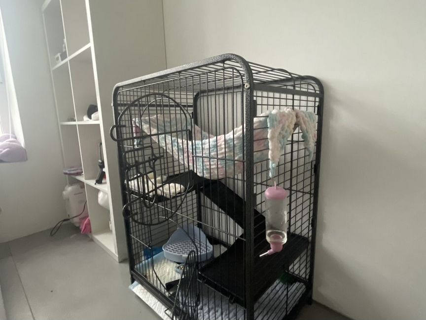 Клетка для грызунов