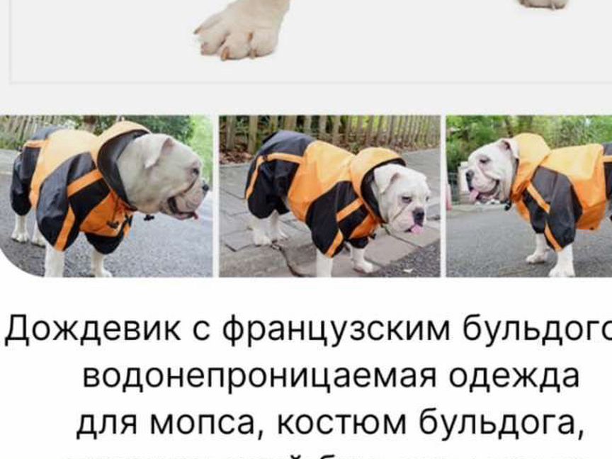 Дождевик на француза большой