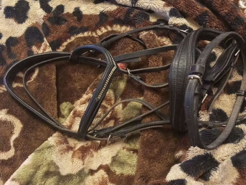 Огол. Киффер, пелям, Империал, вальтрапы, ногавки