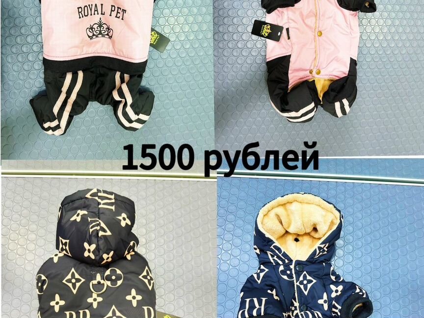 Одежда для собак