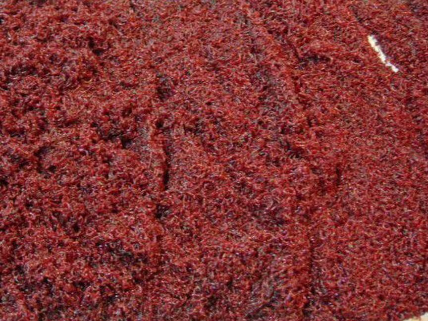 Мотыль лиман кормовой