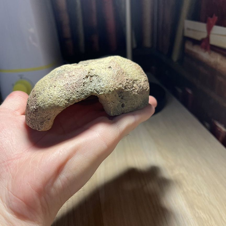 Укрытие для рептилий