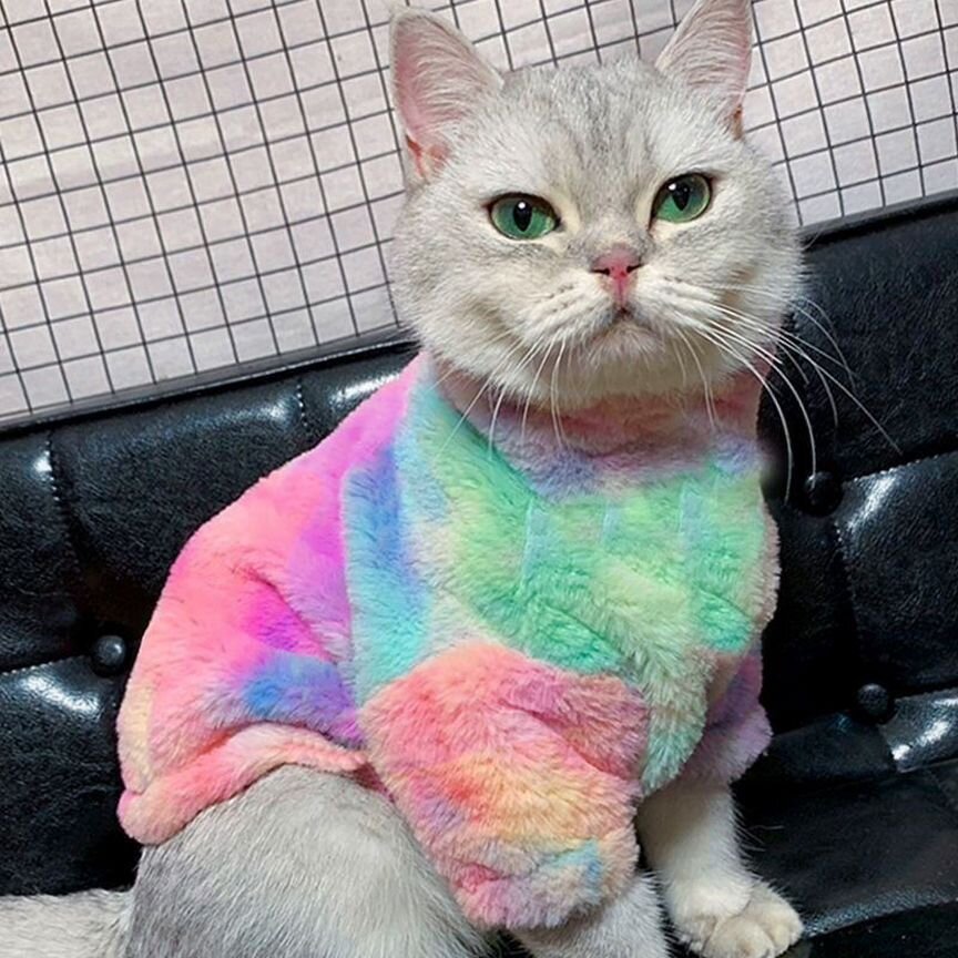 Свитерок для кошек собак