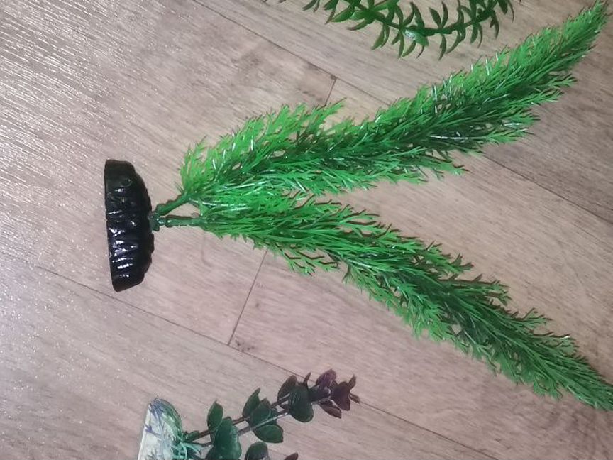 Аквариумные растения пластиковые