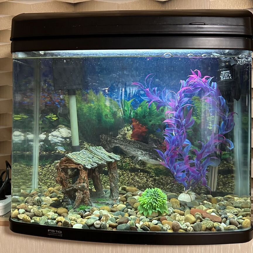 Аквариум с рыбами и всем содержимом