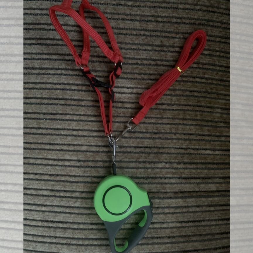 Шлейка с поводком для кота новые