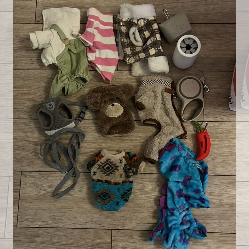 Одежда для маленьких собак s