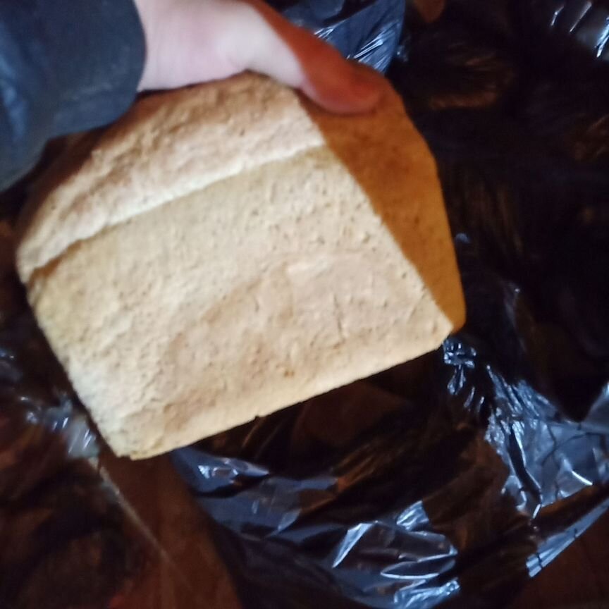 Хлеб для животных