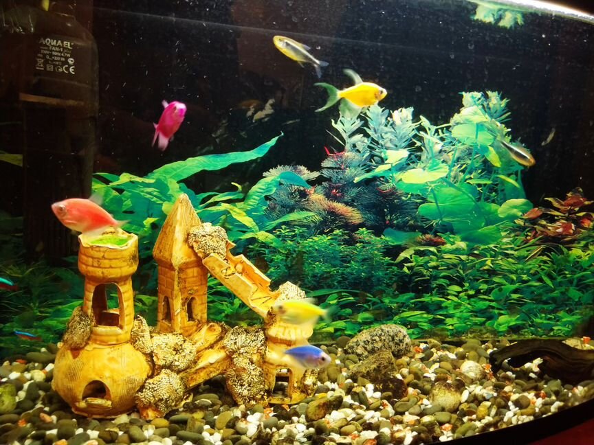 Аквариум с рыбками на 45 л + стол журнальный