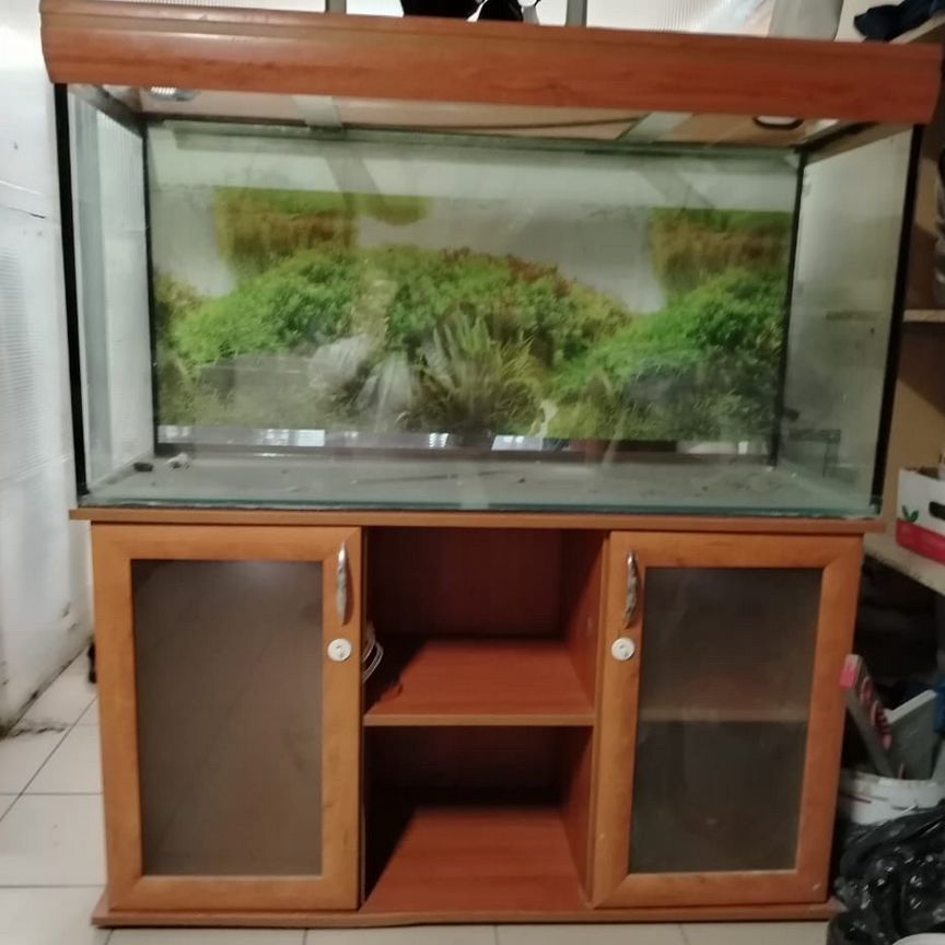 Аквариум