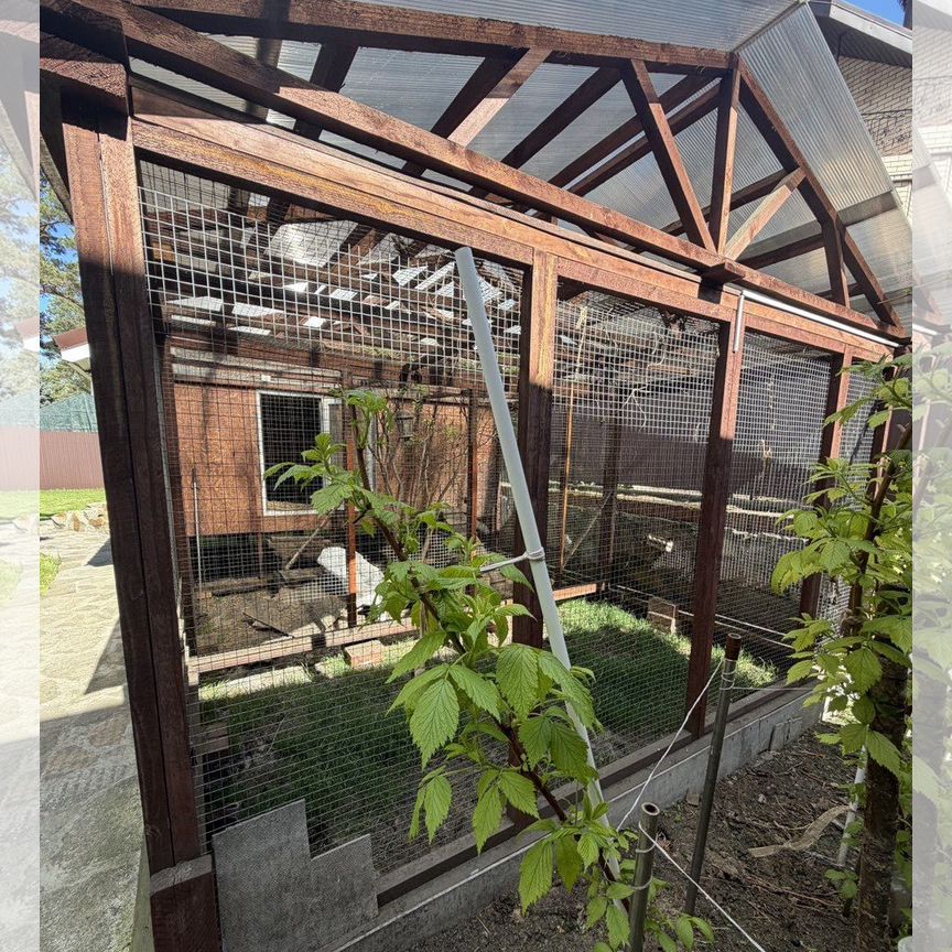 Курятник для кур всесезонный