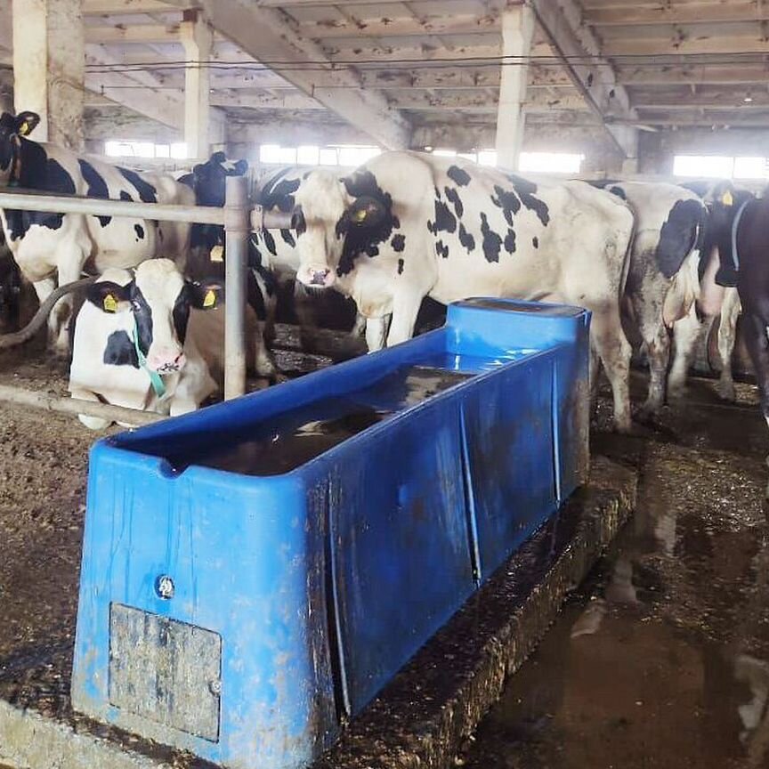 Поилка уличная с подогревом