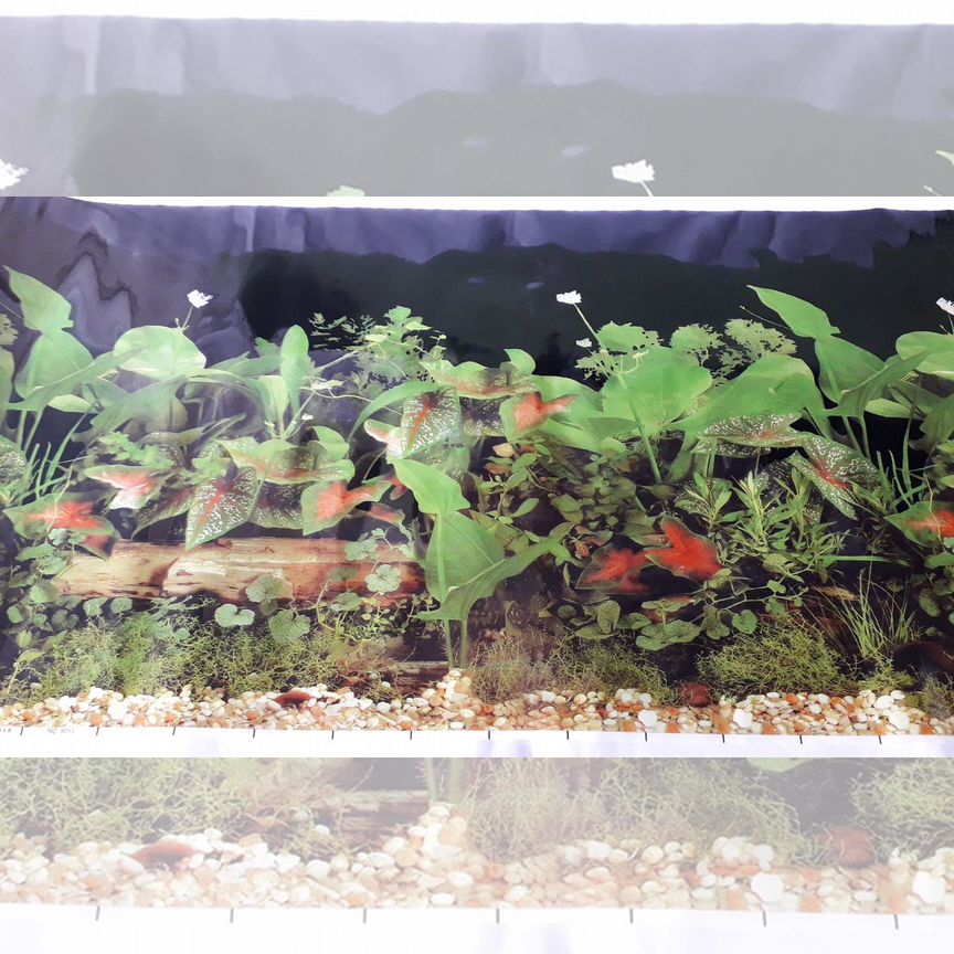 Плёнка-фон для аквариума